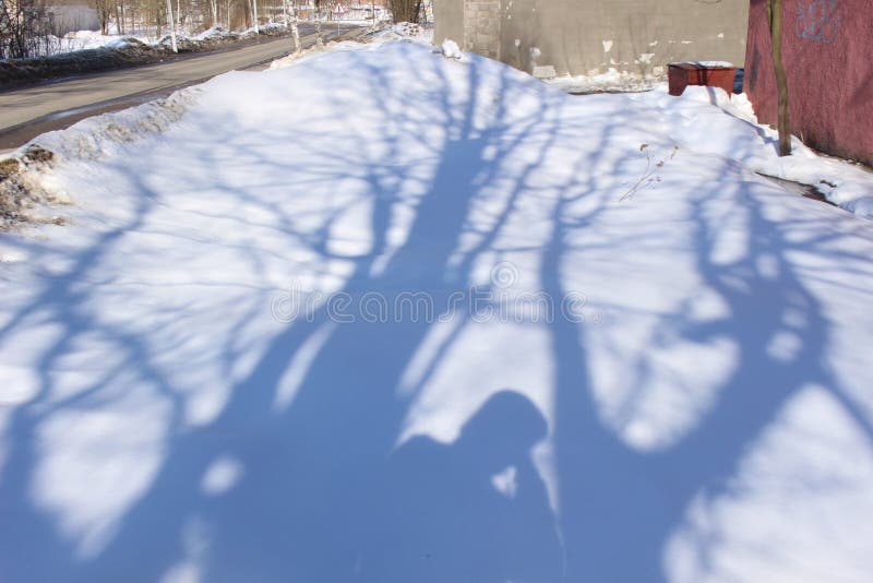 Shadows on the Snow. Shadows from the Trees. Shadows from the Bright ...