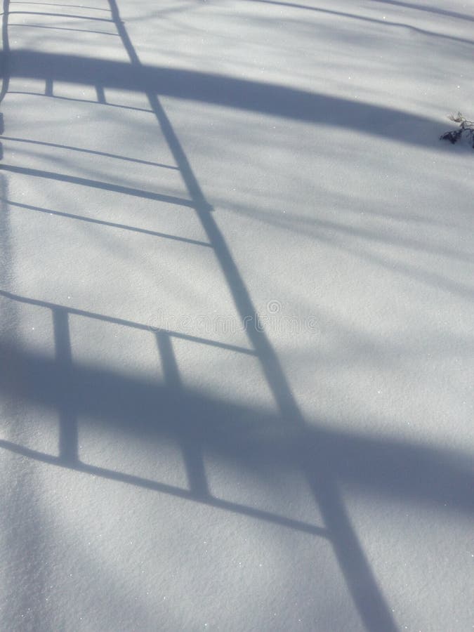 Shadows on the Snow. Shadows from the Trees. Shadows from the Bright ...