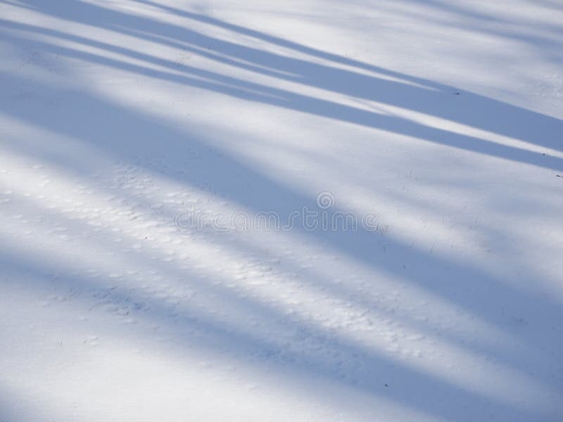 Shadows on Snow stock image. Image of pale, frozen, peaceful - 49967111