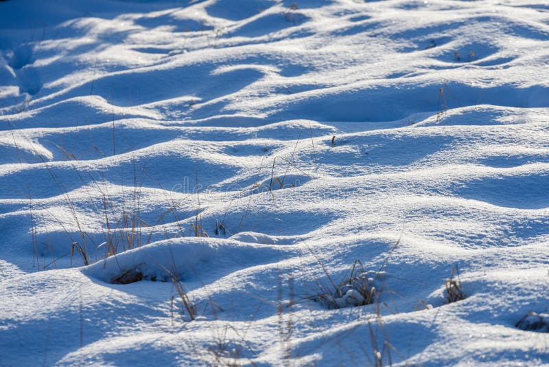 Shadows in Snow. Winter in Countryside Stock Image - Image of frost ...