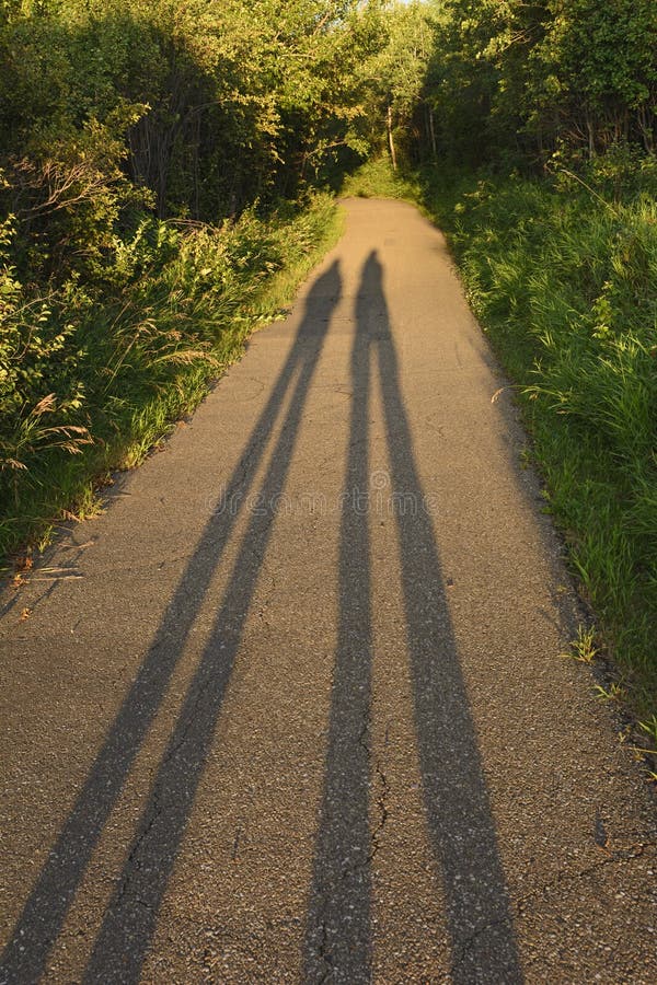 Shadows at Sunset stock image. Image of vertical, calm - 59276523