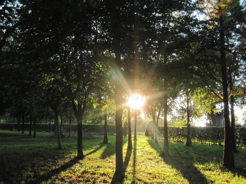 Shadows at Sunset stock photo. Image of sunlight, sunrays - 129802328