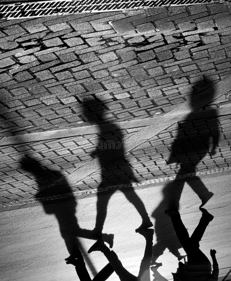 (Silvafoto) - Photos