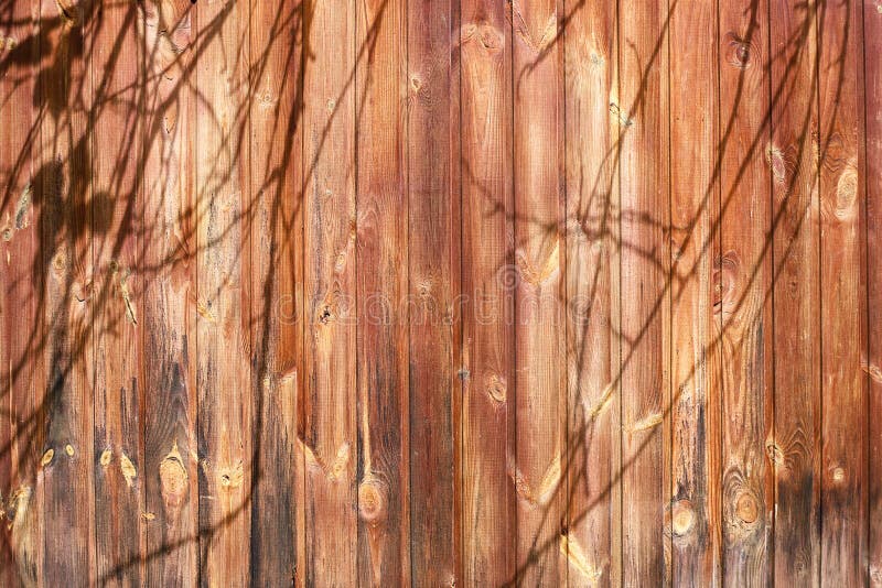Shadows of the Tree Branches on the Old Wooden Wall As a Background ...