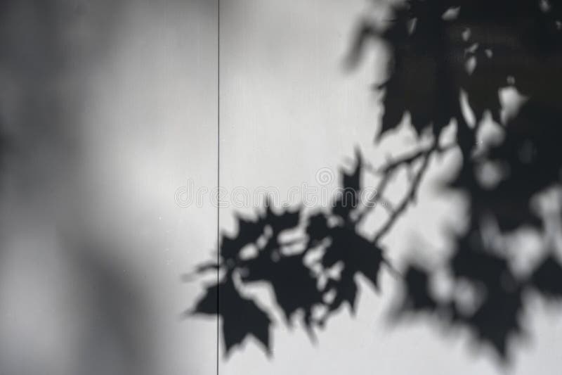 Smooth Gray Rocks with White Stripes Horizontal Background Stock Image ...