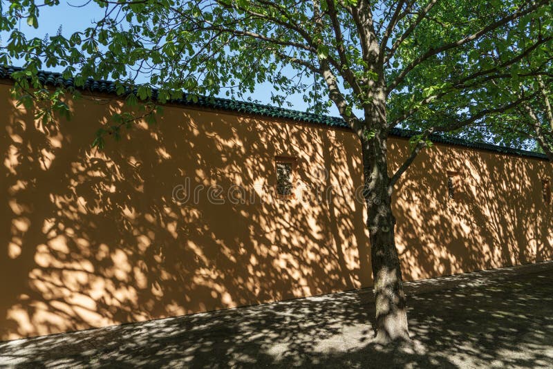 Shadows of the Tree on the Facade of the Building Stock Photo - Image ...