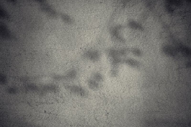 Shadows from a Tree on a Gray Rough Concrete Wall Stock Photo - Image ...