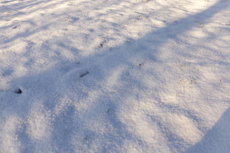 Shadows in the snow stock photo. Image of empty, fallen - 102968850
