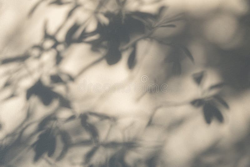 Shadows from the Trees Falling on the Fence. Stock Image - Image of ...