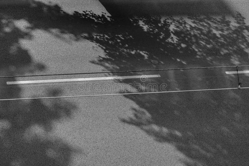 Shadows of trees on road stock photo. Image of border - 179409762