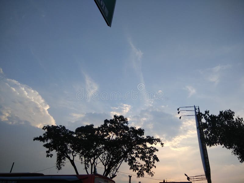 The Shadows of the Trees Turn Black at Dusk Stock Image - Image of ...