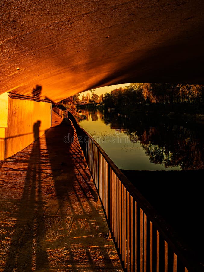 Shadows under the bridge stock image. Image of sunrise - 203194081