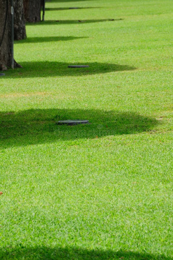 Shadows under the trees stock image. Image of garden - 30795335
