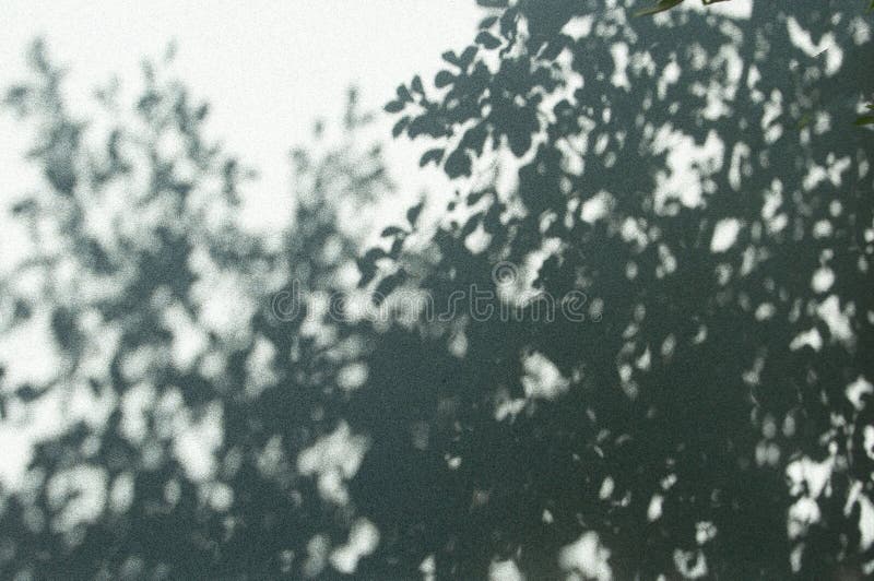 Shadows on the Wall, Background. Stock Image - Image of interior, gray ...