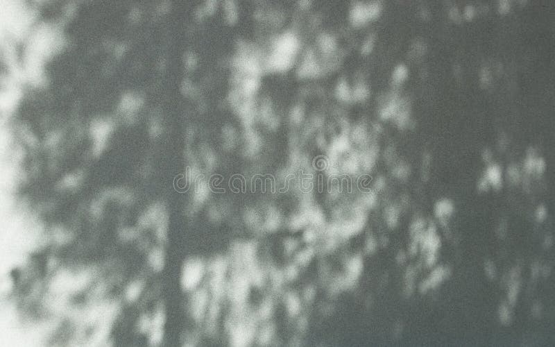 Shadows on the Wall, Background. Stock Photo - Image of fashion, grey ...
