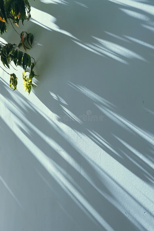 Shadows on the Wall, Sunshine and Sun Rays on Summer Day at Sunset ...