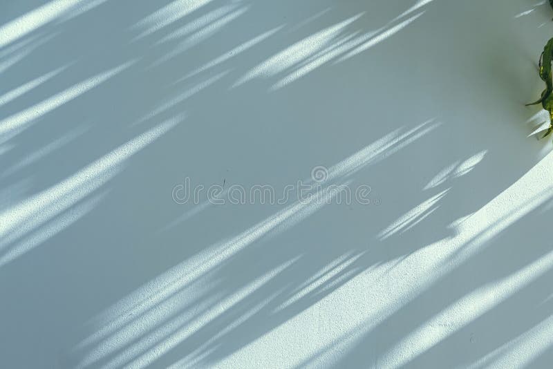 Shadows on the Wall, Sunshine and Sun Rays on Summer Day at Sunset ...