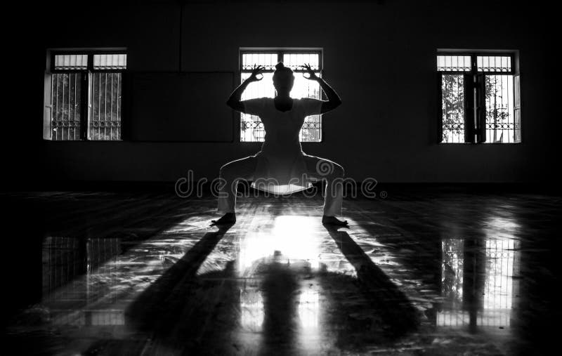 Shadows of Yogy stock image. Image of yoga, black, lifestyle - 91267897