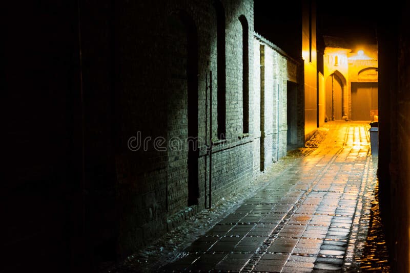 Shadowy Alley with Trees, Frankfurt am Main, Hessen, Germany Stock ...