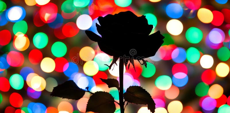 A Shadowy Rose Outline Set Against a Vivid Cosmic Backdrop Stock Photo ...