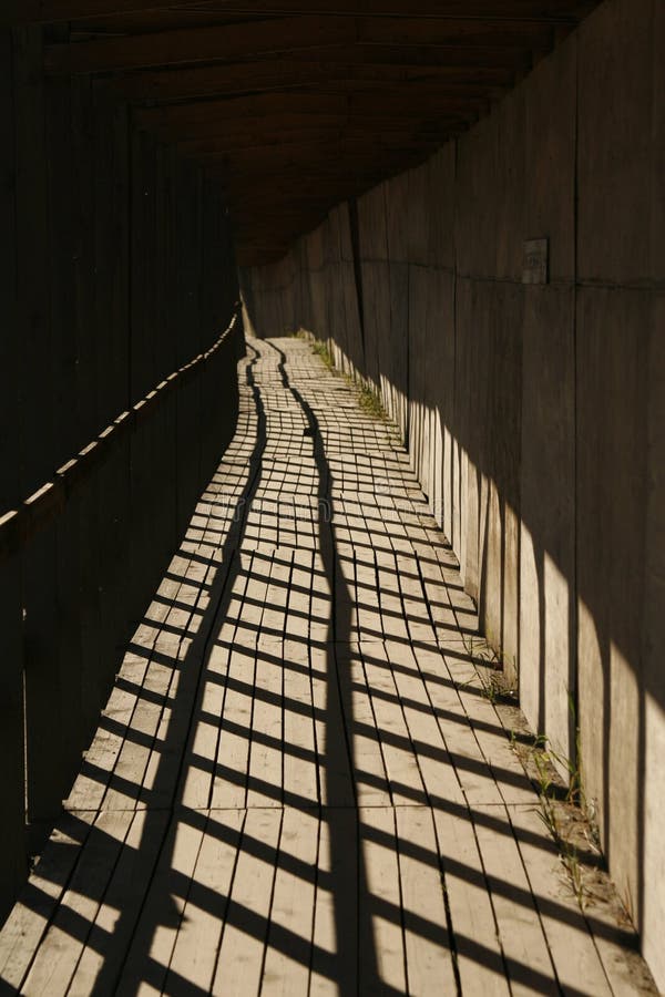 Shadowy walkway stock photo. Image of walk, path, dark - 1102820