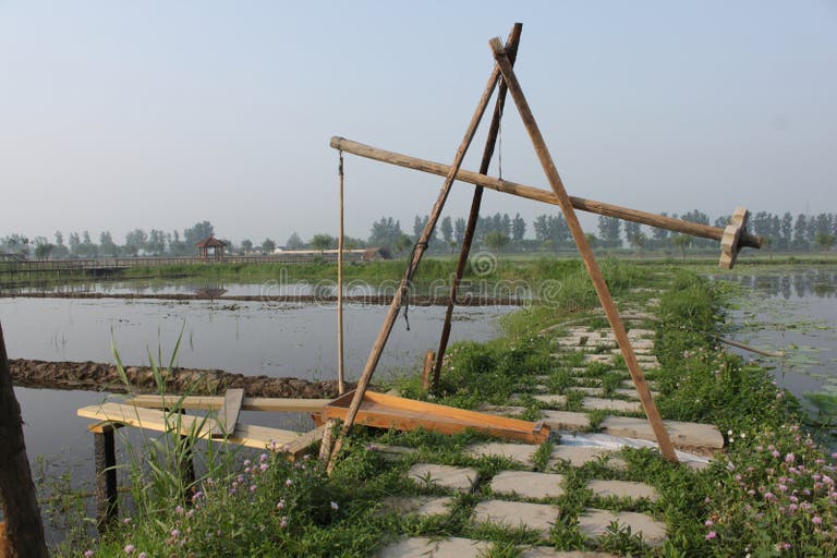Shaduf stock image. Image of bank, tree, shaduf, river - 25403089
