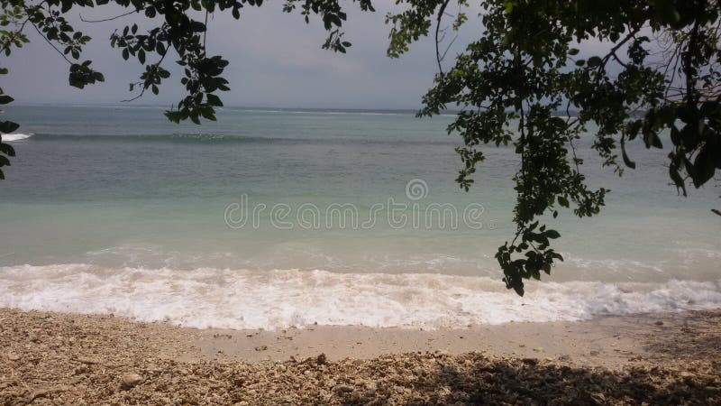 Shady Beach stock image. Image of java, shady, shade - 133190953