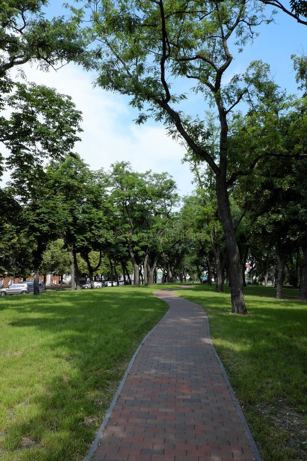Shady City Alley. Cobblestone Path among the Trees Stock Image - Image ...