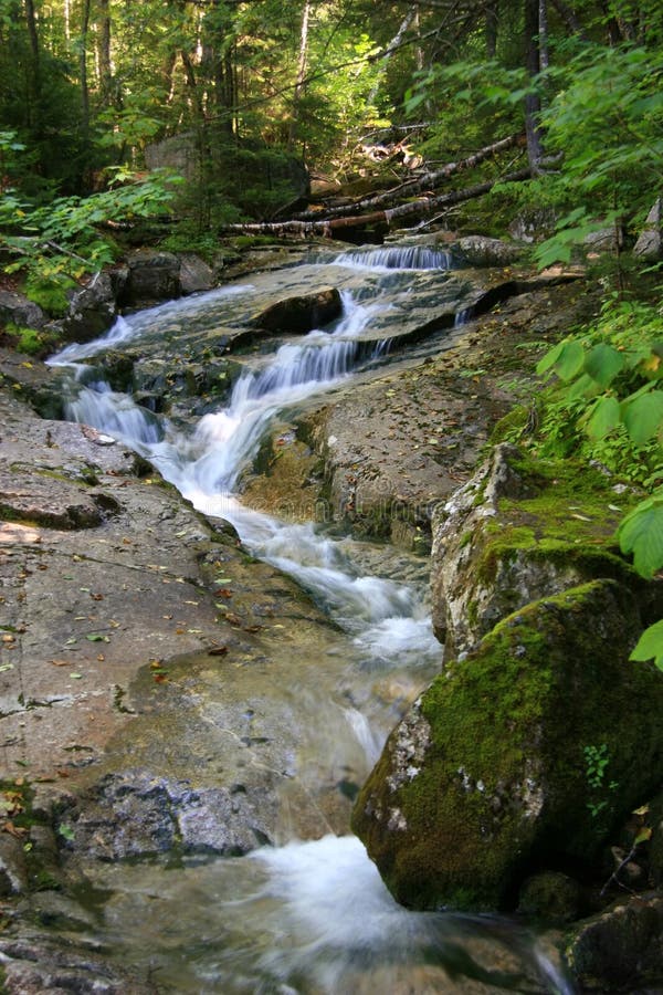 Shady Forest Cascade stock image. Image of mountains - 11389147