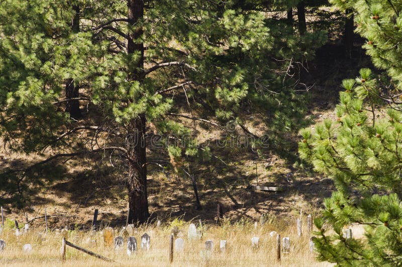 A Shady Graveyard in a Forest. Stock Image - Image of forest ...