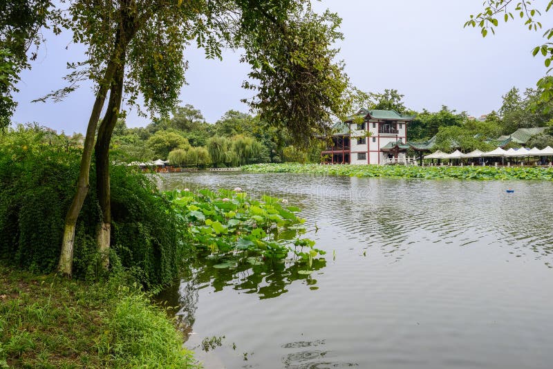 Shady Lakeshore in Sunny Summer Stock Photo - Image of grassy, pond ...