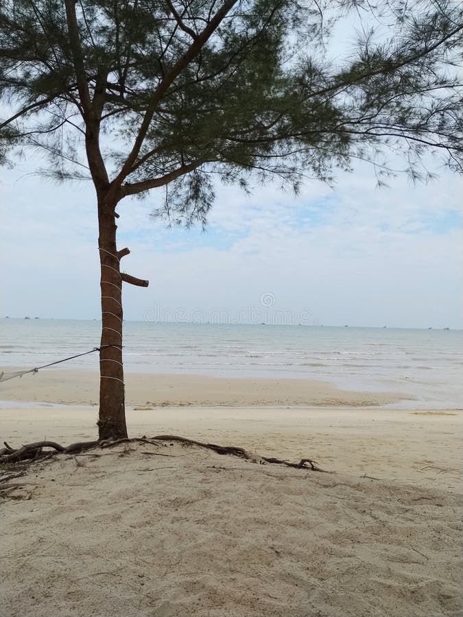 Shady Loose Sand Clean Beach Stock Photo - Image of sand, calmness ...