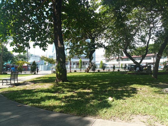 Shady Park Full of Trees with a Road in Front Editorial Stock Image ...