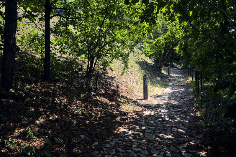 Shady Path with Trees Arching on it in a Park Stock Photo - Image of ...