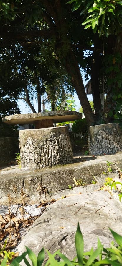 A Shady Place To Relax Under a Tree Stock Image - Image of shady, tree ...