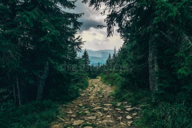 Shady Road through the Hills Stock Photo - Image of path, foliage ...