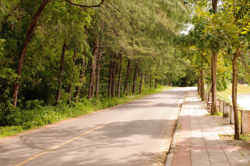 Shady road stock photo. Image of thai, scenic, street - 60694430