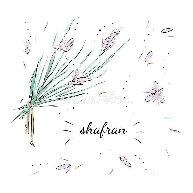 Shafran Stock Illustrations – 27 Shafran Stock Illustrations, Vectors ...