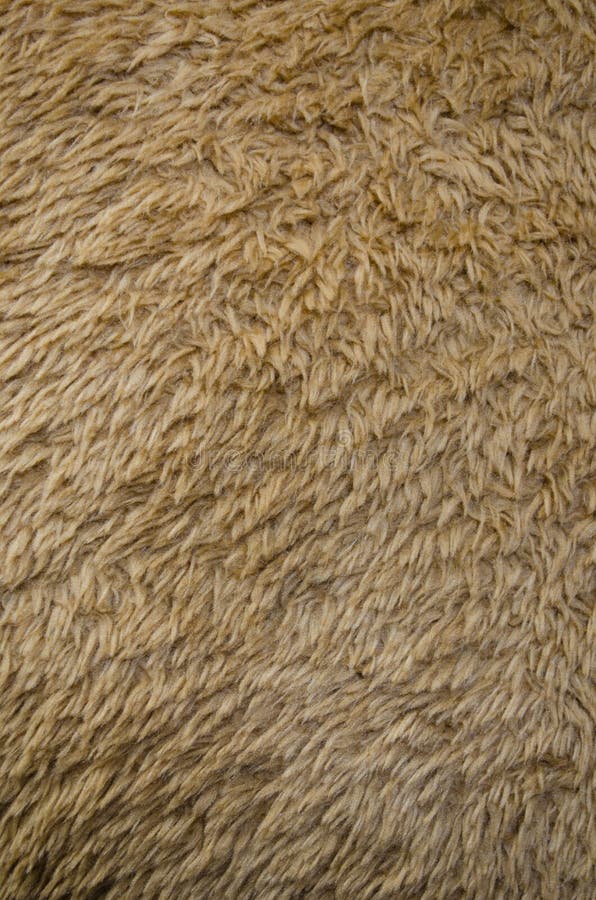 Shaggy fur rug texture stock image. Image of texture - 216462835
