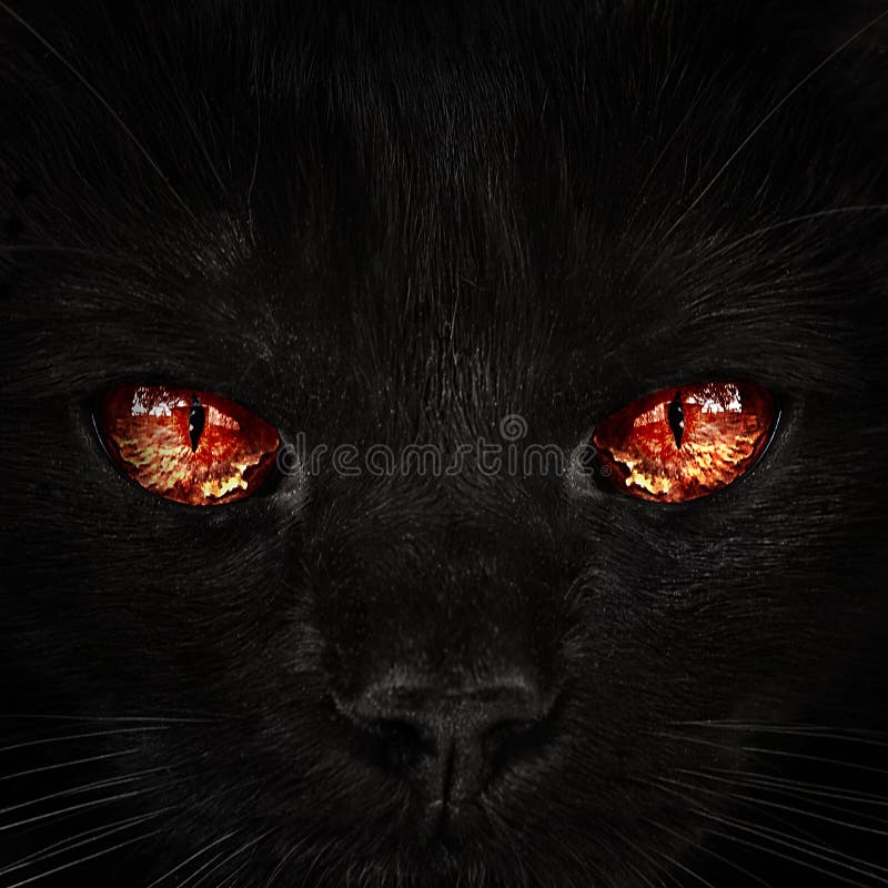 Shaggy Monster Red Eyes Closeup Stock Photo - Image of halloween, black ...