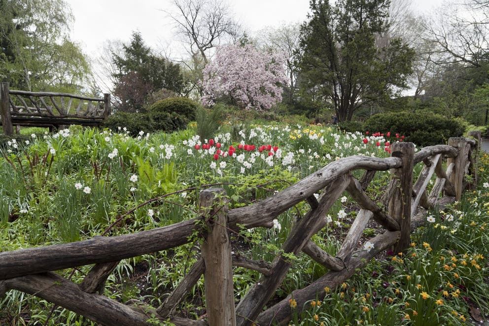 Shakespeare gardens stock photo. Image of tree, fence - 28991152
