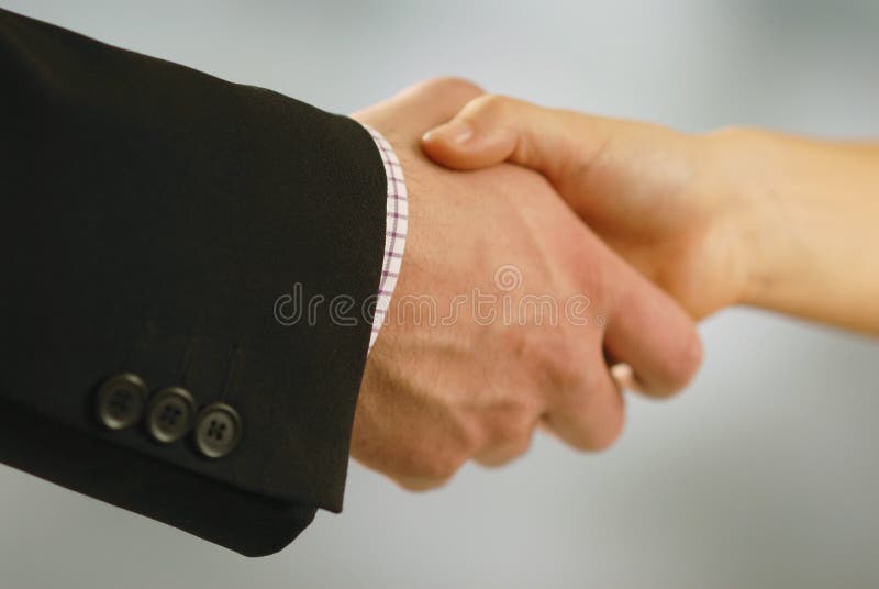Shaking hands stock photo. Image of hands, promise, shaking - 3091904