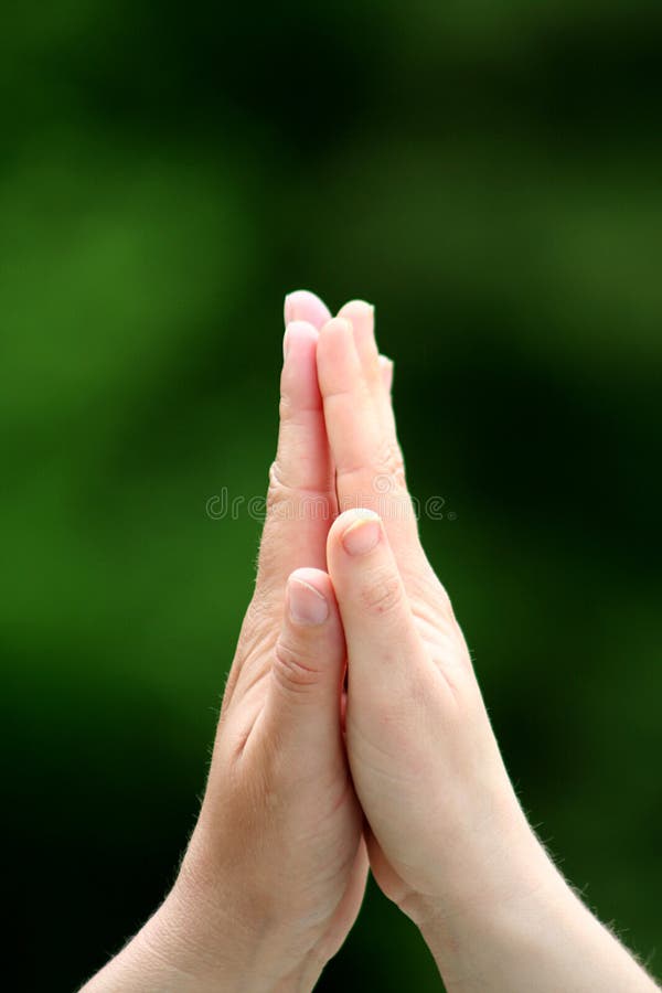 Shaking hands stock photo. Image of management, deal, compression - 5100782