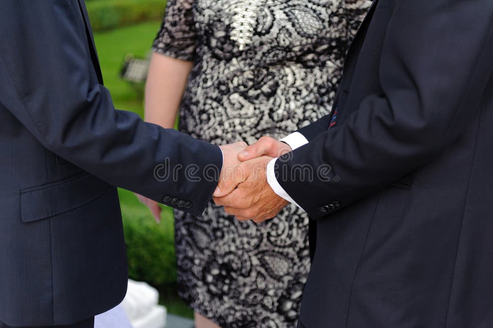 Shaking Hands stock photo. Image of hand, putting, groom - 32210366