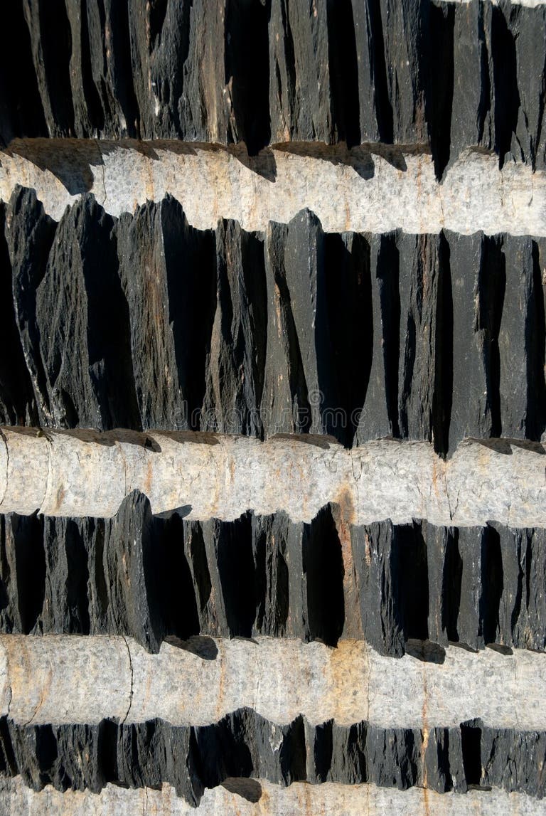 2,021 Fossil Rock Layer Stock Photos - Free & Royalty-Free Stock Photos ...