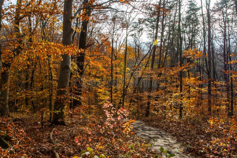 Shallenberger Nature Preserve in Fall, Lancaster, Ohio Stock Photo ...
