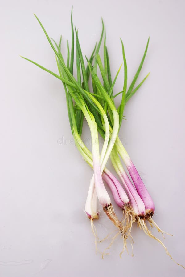 Shallot stock image. Image of isolated, stem, food, white - 12150977