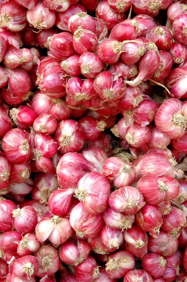 Shallot Stock Photos - Download 18,159 Royalty Free Photos