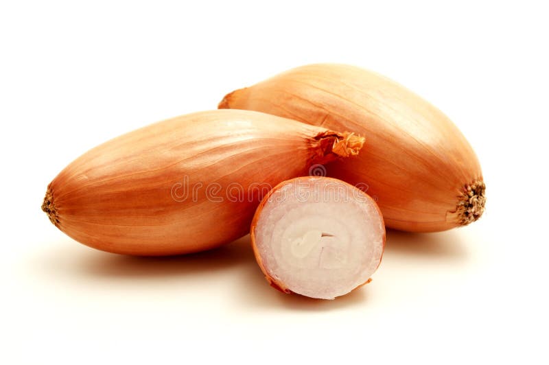 Five shallots 2 stock photo. Image of healthy, light, shallots - 2139296