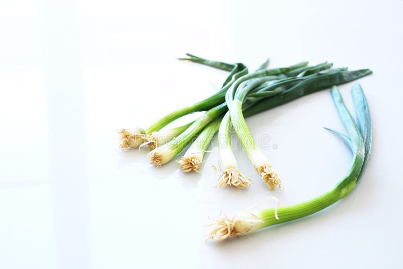 Shallot stock photo. Image of health, shallot, ripe, healthy - 4462444